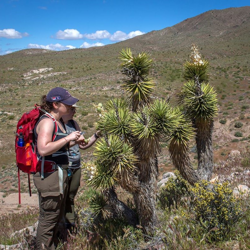 Community Science | Alexis Garretson