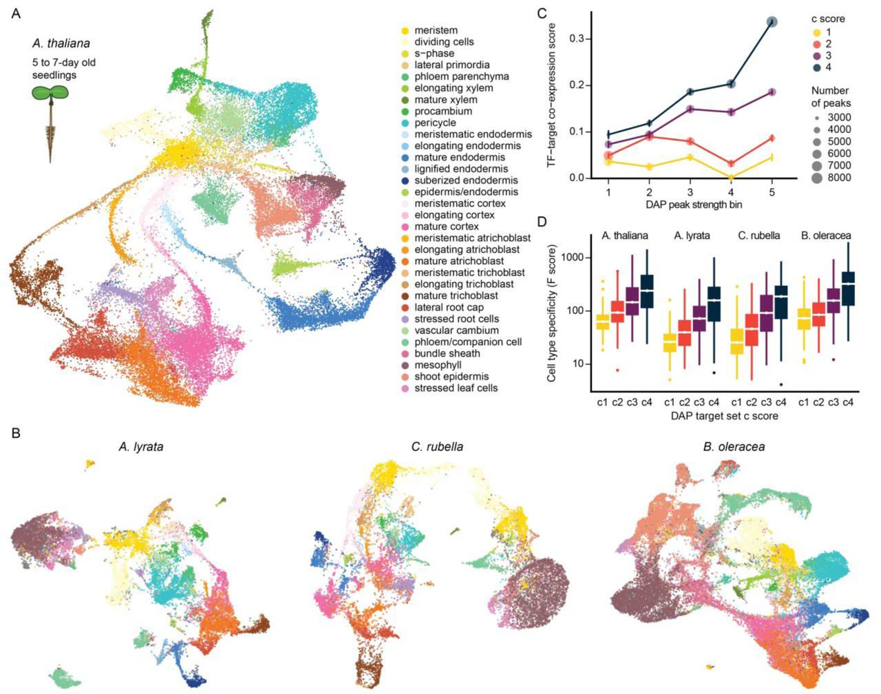 An Atlas of Conserved Transcription Factor Binding Sites Reveals the ...