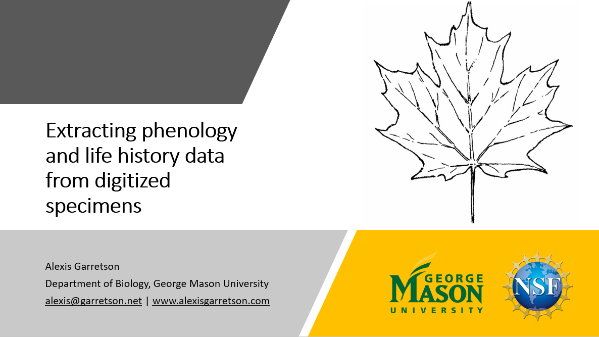 Extracting phenology and life history data from digitized specimens ...