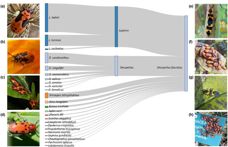 Citizen science data reveal regional heterogeneity in phenological ...